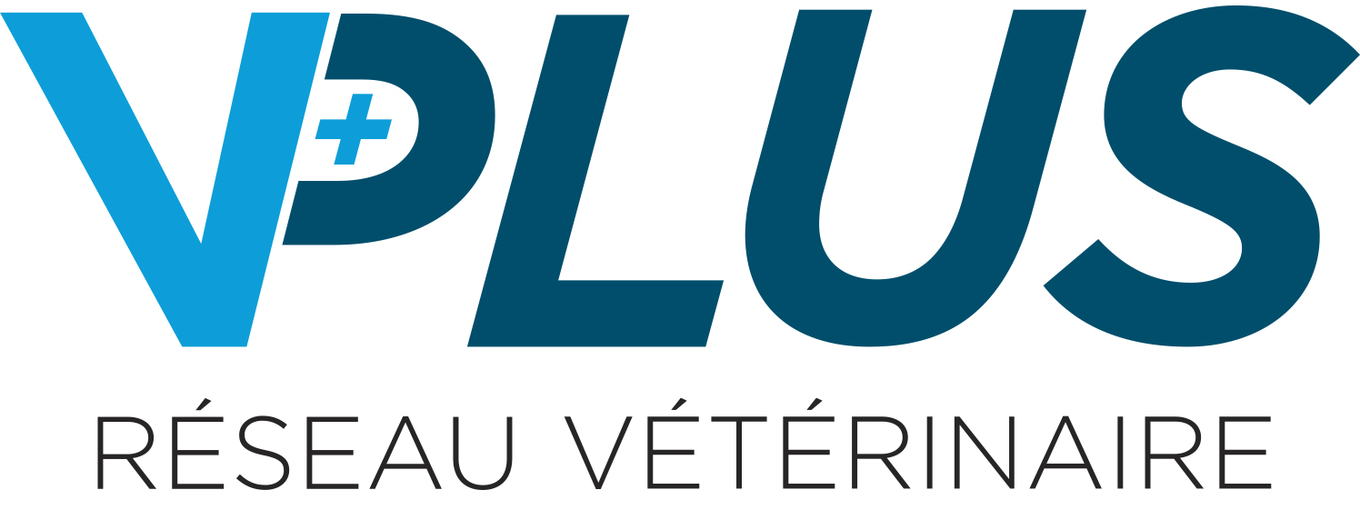 Nos Services – VPLUS